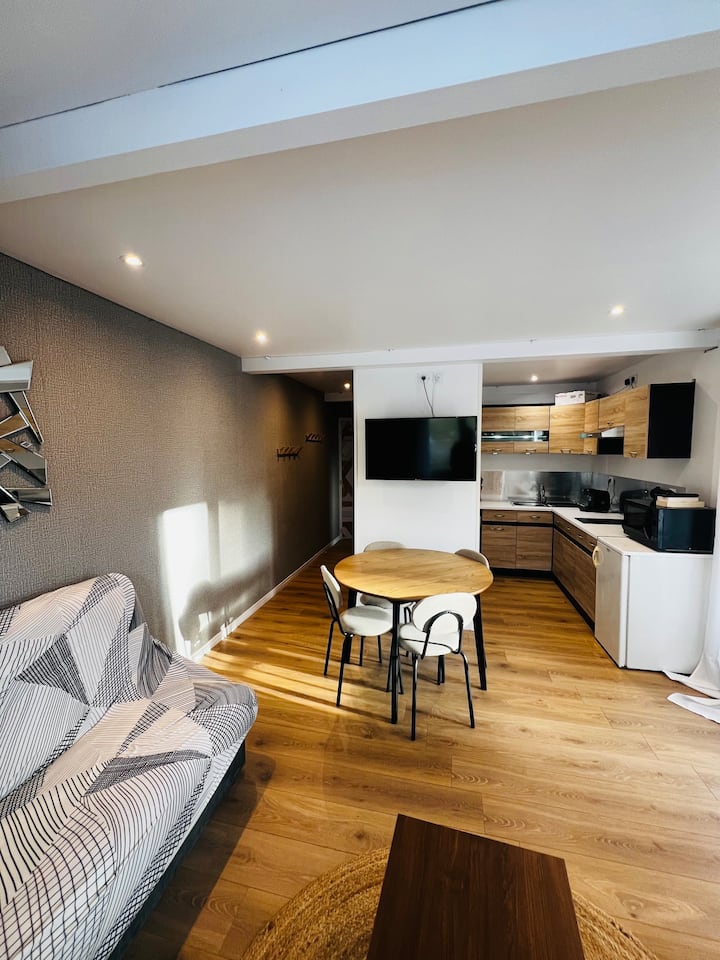 Apt 4 Pers Au Pied Des Pistes - La Pierre Saint Martin