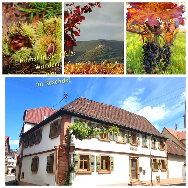 Ferienhaus Edenkobener Straße - Landau