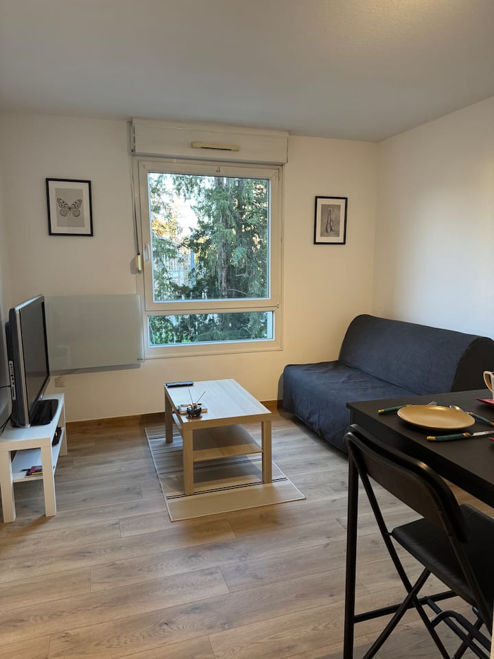 ÉLégant Studio Mulhouse Centre - Mulhouse