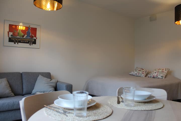 Modern Studio Aurora - Rovaniemi