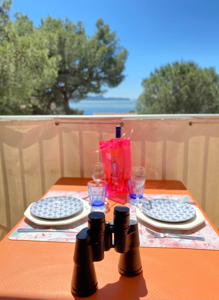 Clim | Vue Mer & Accès Plage 400m Dans Parc 3000m2 - Plage de l'Almanarre