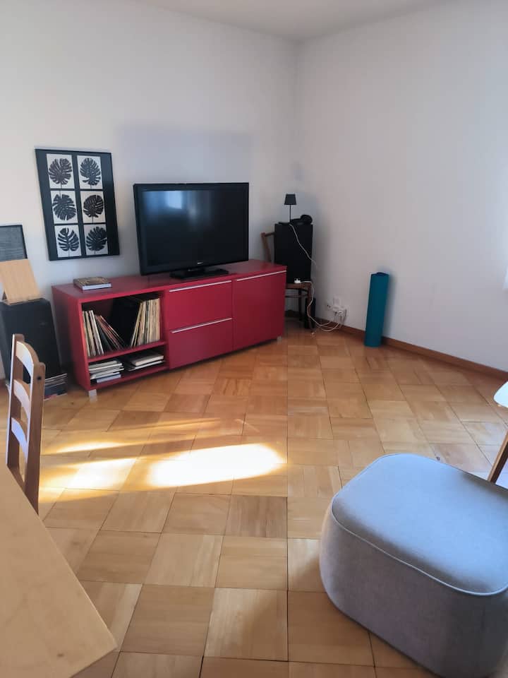 Big Private Room In Bern - Berne