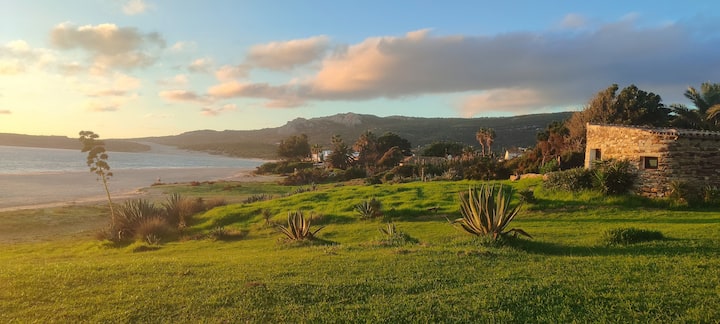 The Surf Nomad's Haven - Zahara de los Atunes