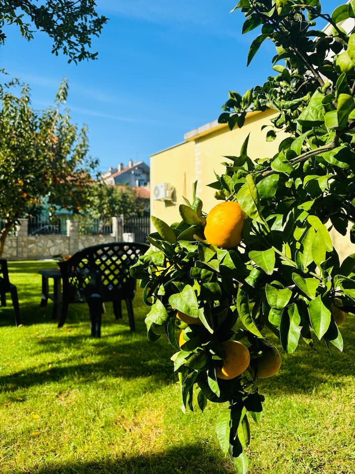 Apartment Stari - Podgorica