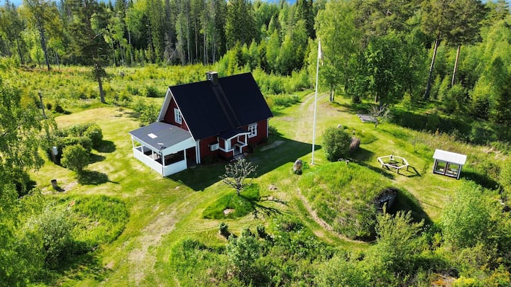 Kronskogen - Enjoy The Silence - Suecia