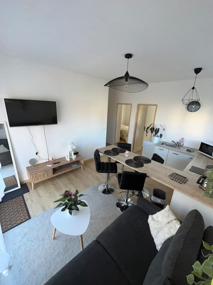 Le Nid Douillet De Clermont - Clermont-Ferrand