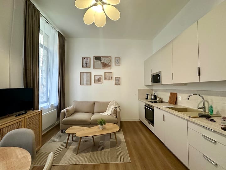 New Arras Apt Rénové 1 Chbre - Arras