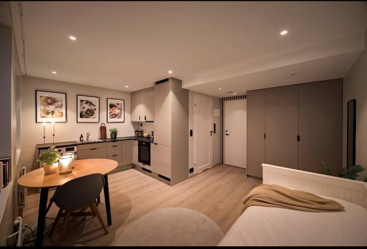 Eksklusiv Studioleilighet I Hjertet Av Oslo - Oslo