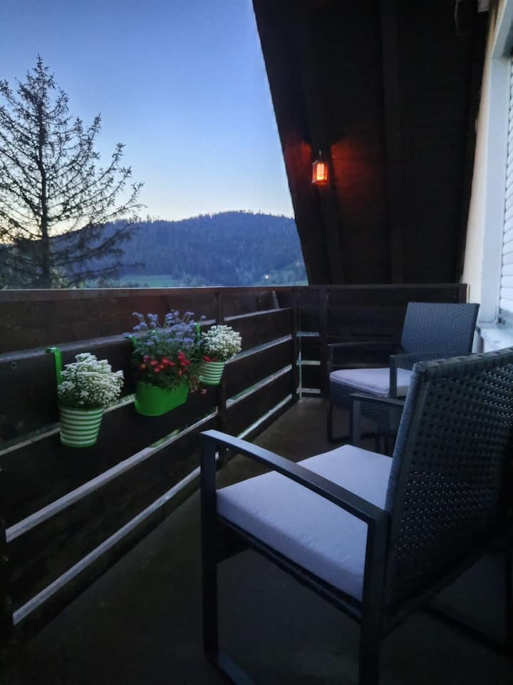 Ferienwohnung "Wald & Wiese" - Baiersbronn