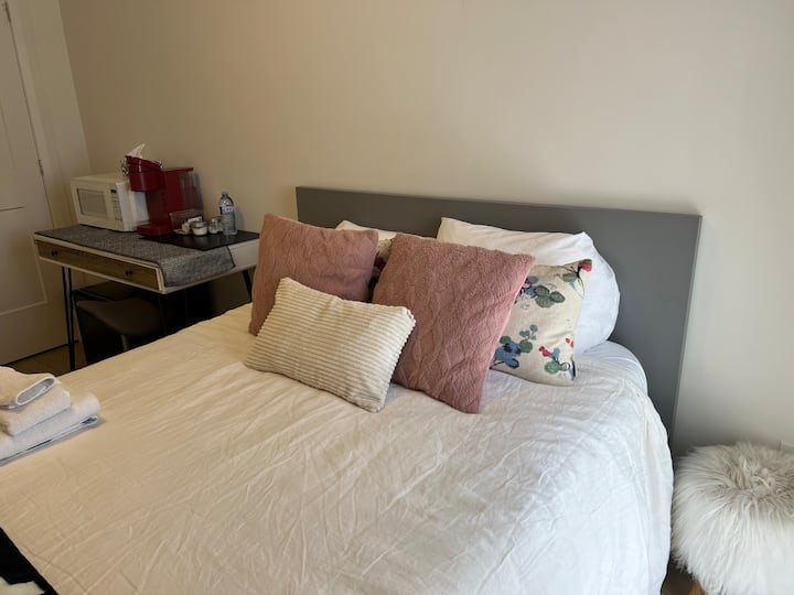 Oasis In Ottawa - 1 Guest, Fridge, Microwave, Tv - Ottawa