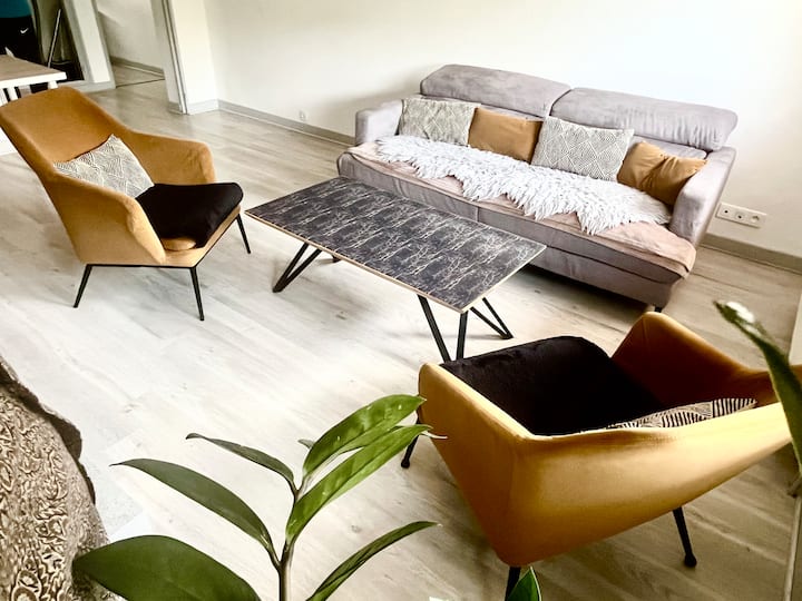 Superbe Appartement Emile Zola - Laxou