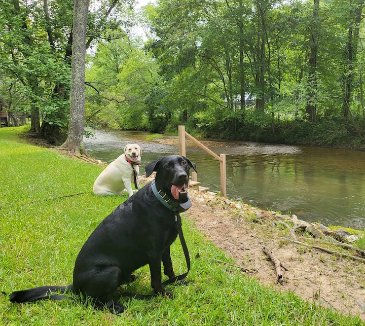 Toccoa Riverfront - Dogs - Forest - Firepit - King - Suches, GA