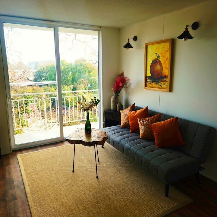 Pucón: Appartement Moderne Et Accueillant - Pucón