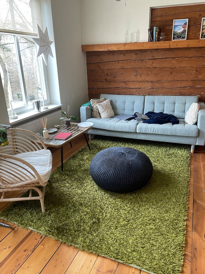 Kalamaja Charm With Backyard - Estonie