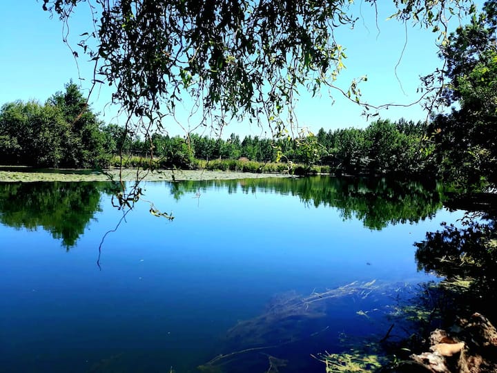 Jardin D'ébène - Montoire-sur-le-Loir