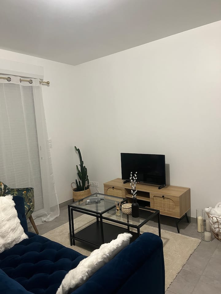 Belle Appartement Lumineux Avec Terrasse Privée - Carbon-Blanc
