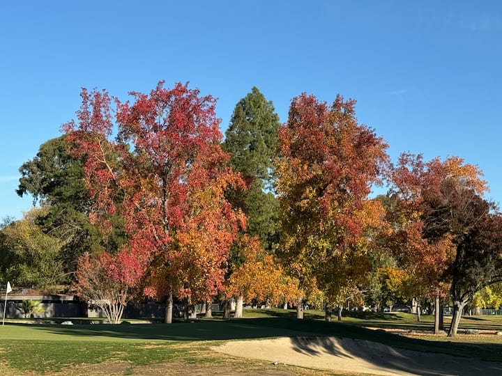 100 Grand House Downtown San Jose - Santa Clara, CA