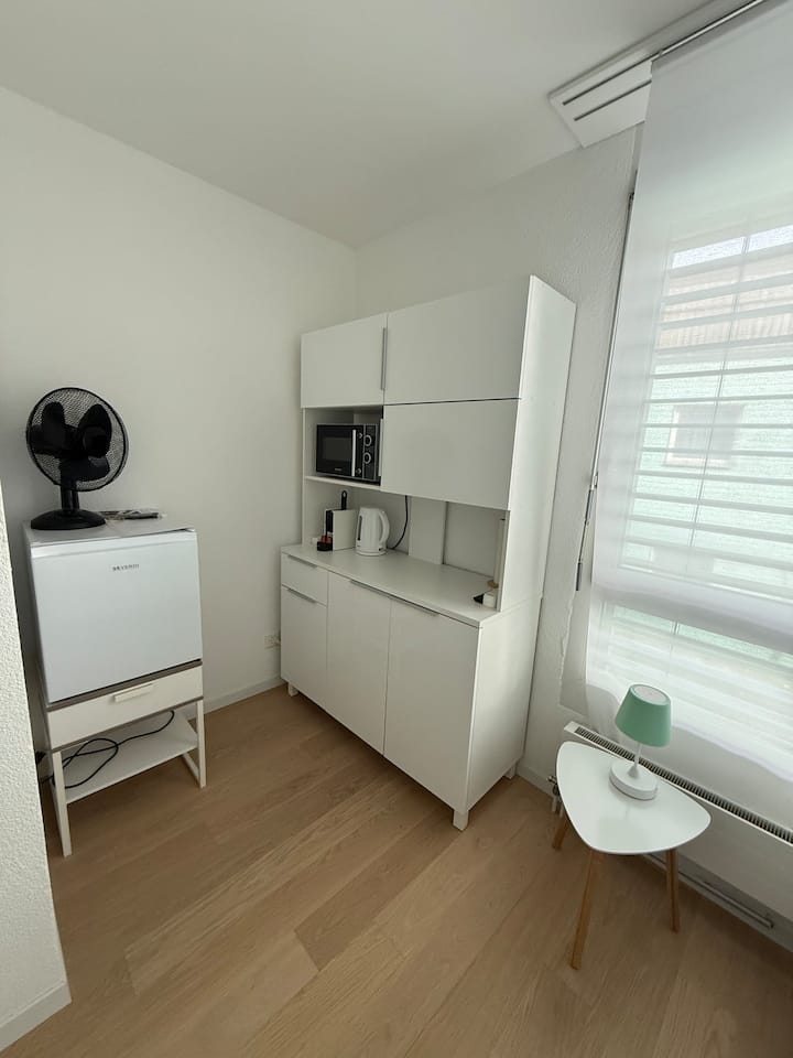 1 Room Studio With Private Bathroom - Schaffhouse