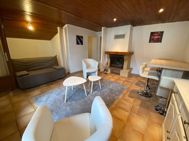 Valberg Cosy 2 Pièce - Beuil