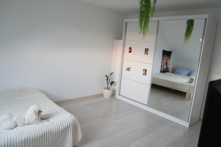 Ruhiges Zimmer An Der Mosel In Trier - Trier