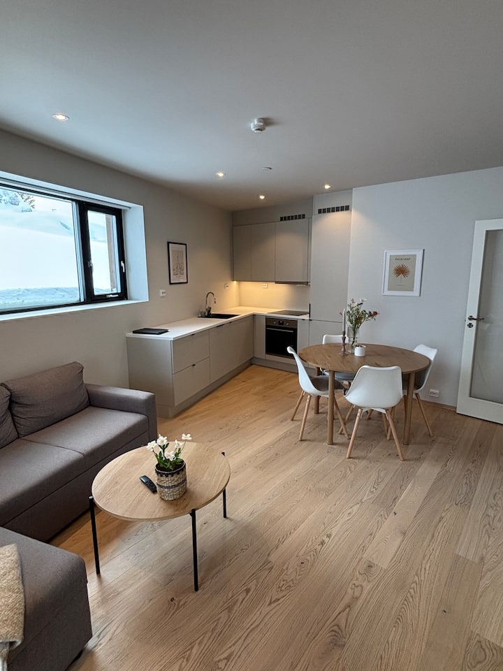 Ny Moderne Leilighet I Tromsø - Tromsø