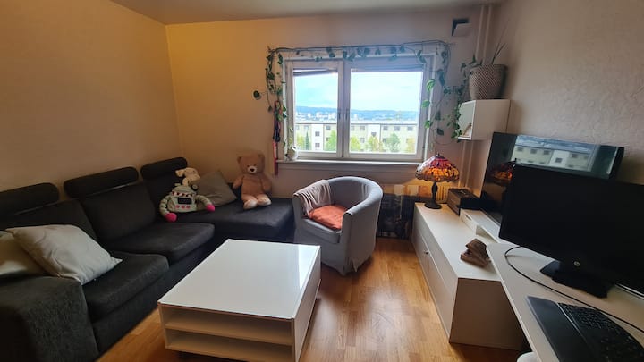 Cozy Apartment, Close To Oslo City Center. - Oslo