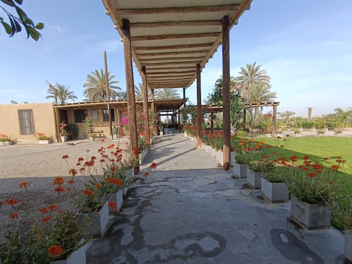 Casa Paracas Acca - Pisco