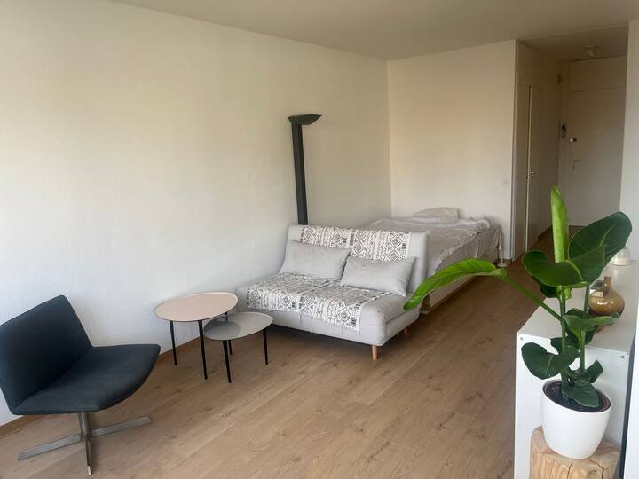 Mini Loft à 5 Min Du Centre - Lausanne