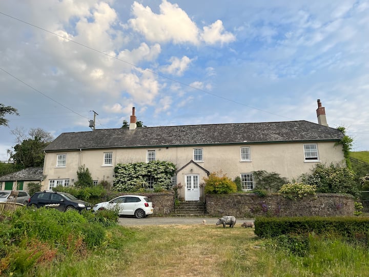 Kingsley Mill, North Devon - Okehampton