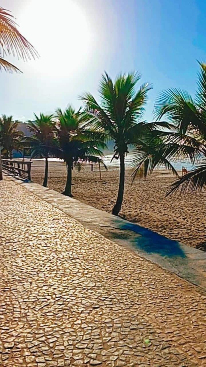 Apto Veraneio Local Calmo Entre Astúrias E Tombo - Guarujá