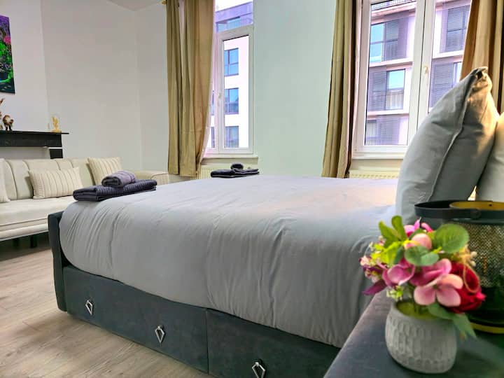 Stijlvol En Ruim Appartement Naast Gare Du Midi - Uccle