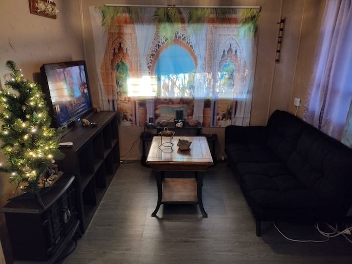 Vintage Desert Theme Double Wide By Hot Springs - Las Palomas, NM