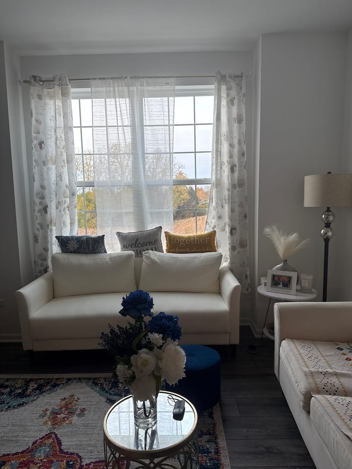 Clean, Quiet, Close To Malls & Train Station - Tinley Park, IL