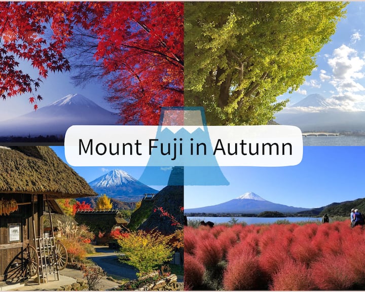 Décor Kimono|projecteur|près Mt Fuji|wifi - 河口湖
