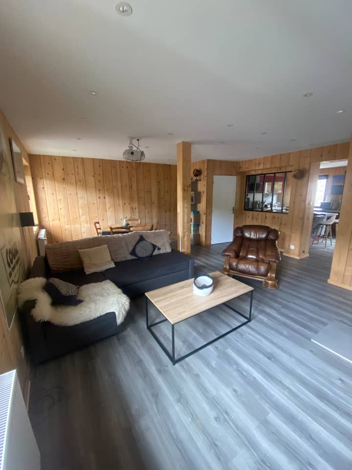 Appartement Type Chalet - Chambon-sur-Lac