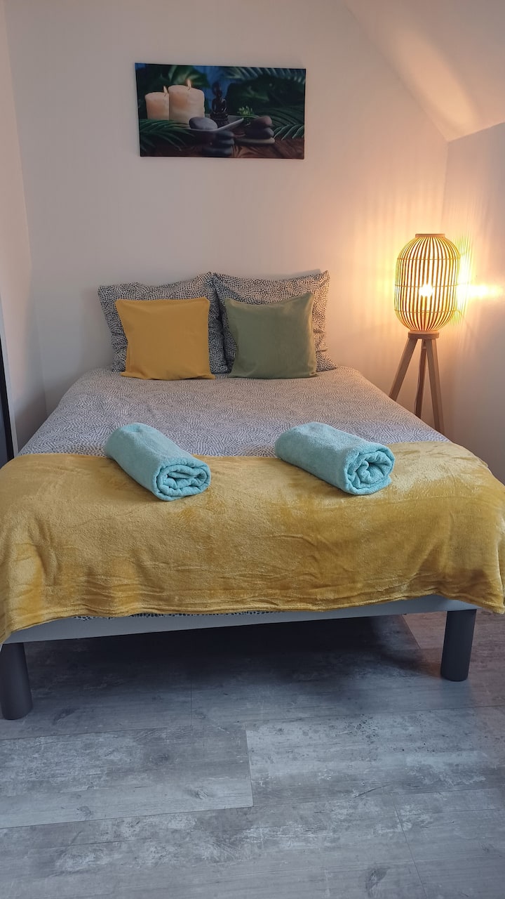 Charmant Studio+ Parking - Colmar