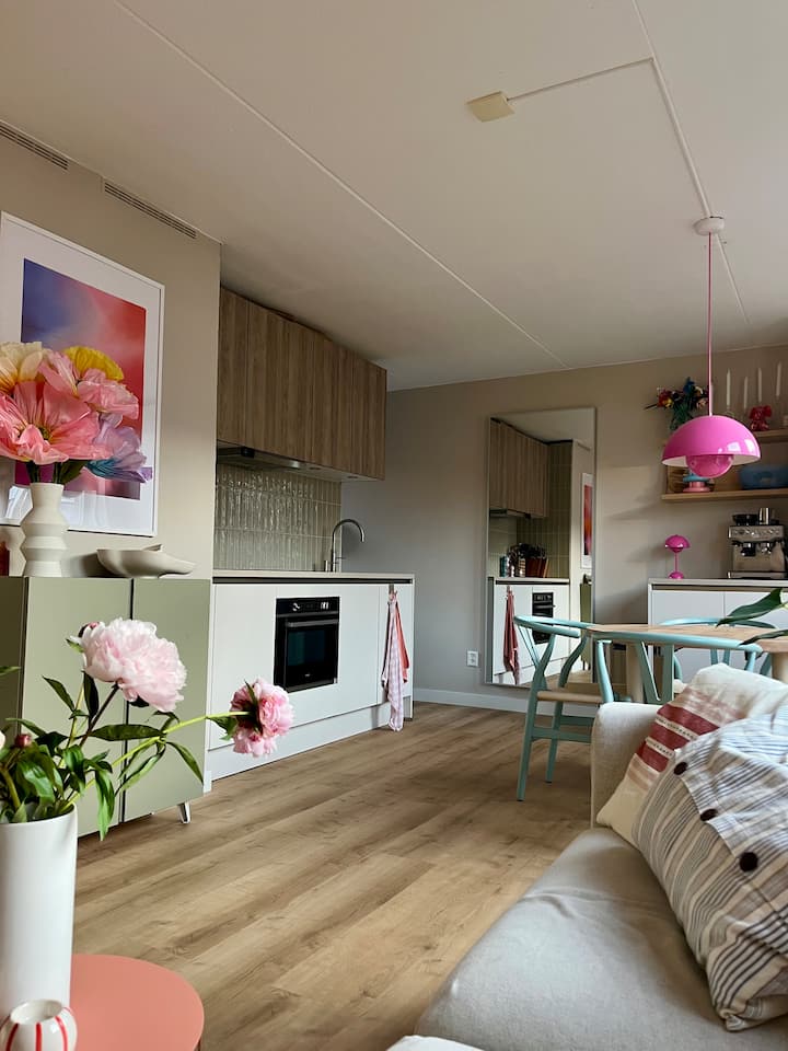 Cozy Apartment Amsterdam - Amsterdam