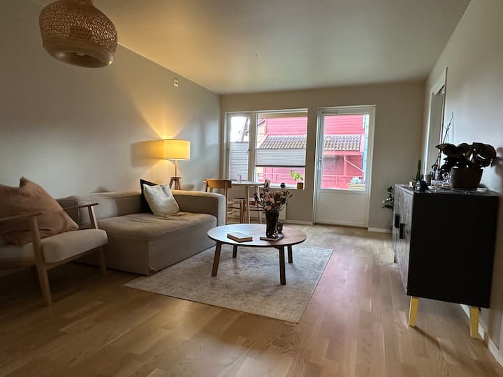 Sentral Og Moderne Leilighet På Moholt - Trondheim