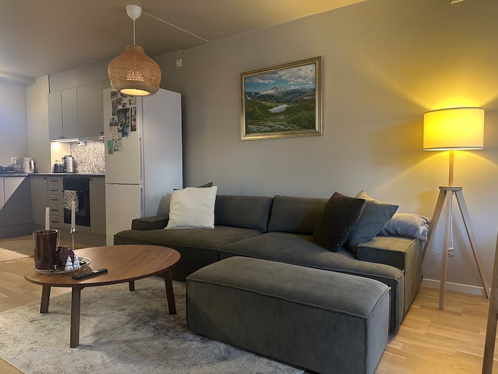 Sentral Og Moderne Leilighet I 1. Etasje | Flybuss - Trondheim