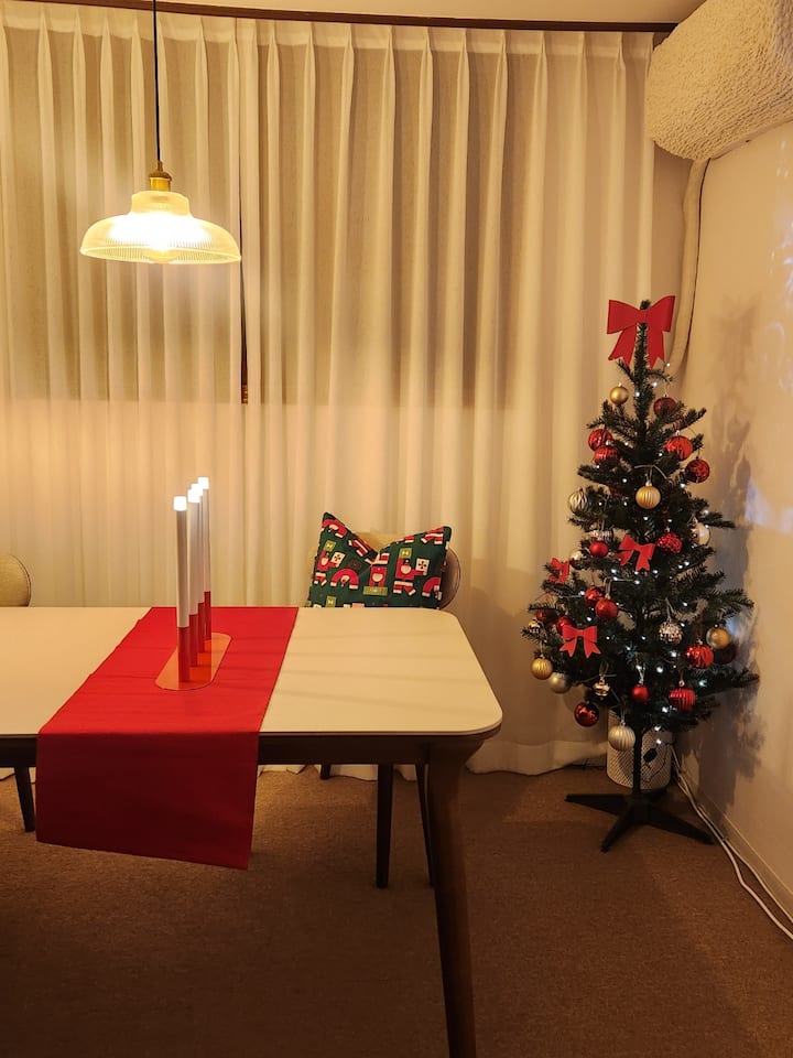 홍대/마포/망원시장/공항철도공덕역/연말모임/경의선숲길/크리스마스숙소/K-pop공연/동대문 - Seoul