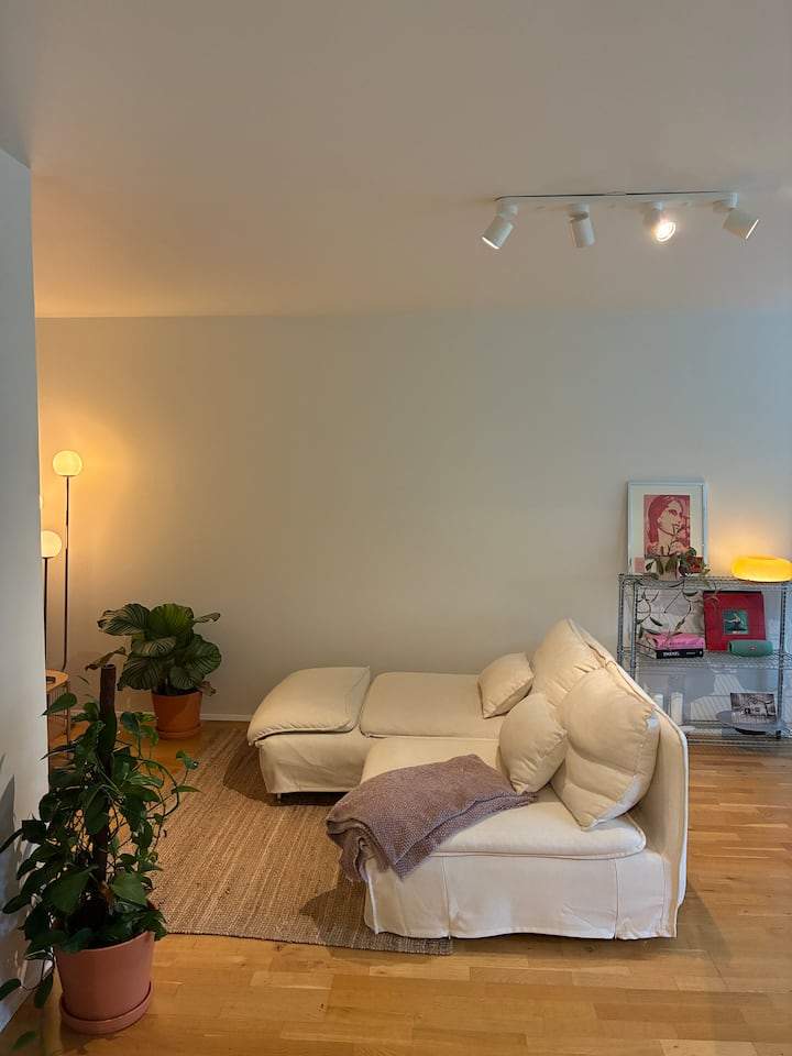 Charming & Cozy Flat Downtown - Reykjavik