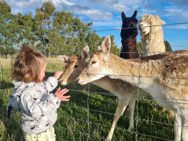 Whitestone Unit In Te Anau - Te Anau