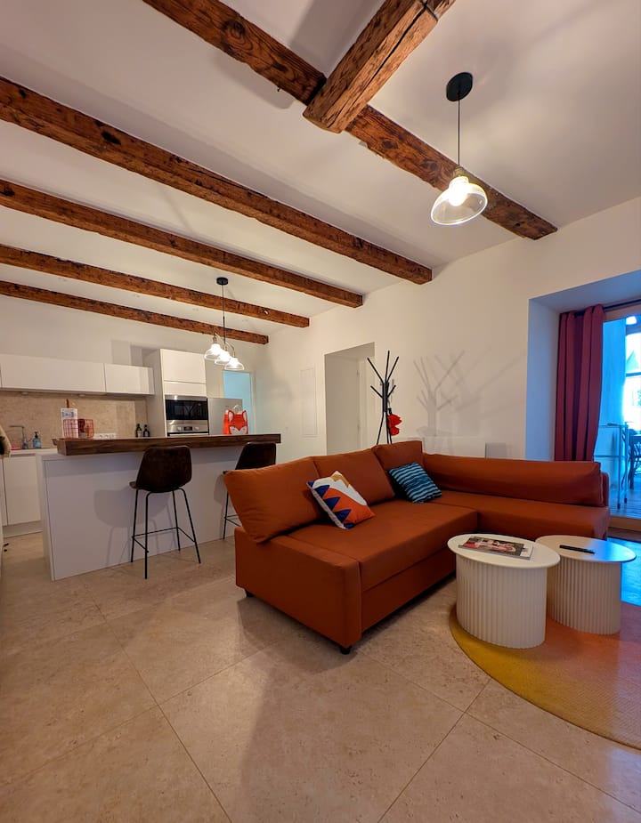 Appartement Hyper Centre - Évian-les-Bains
