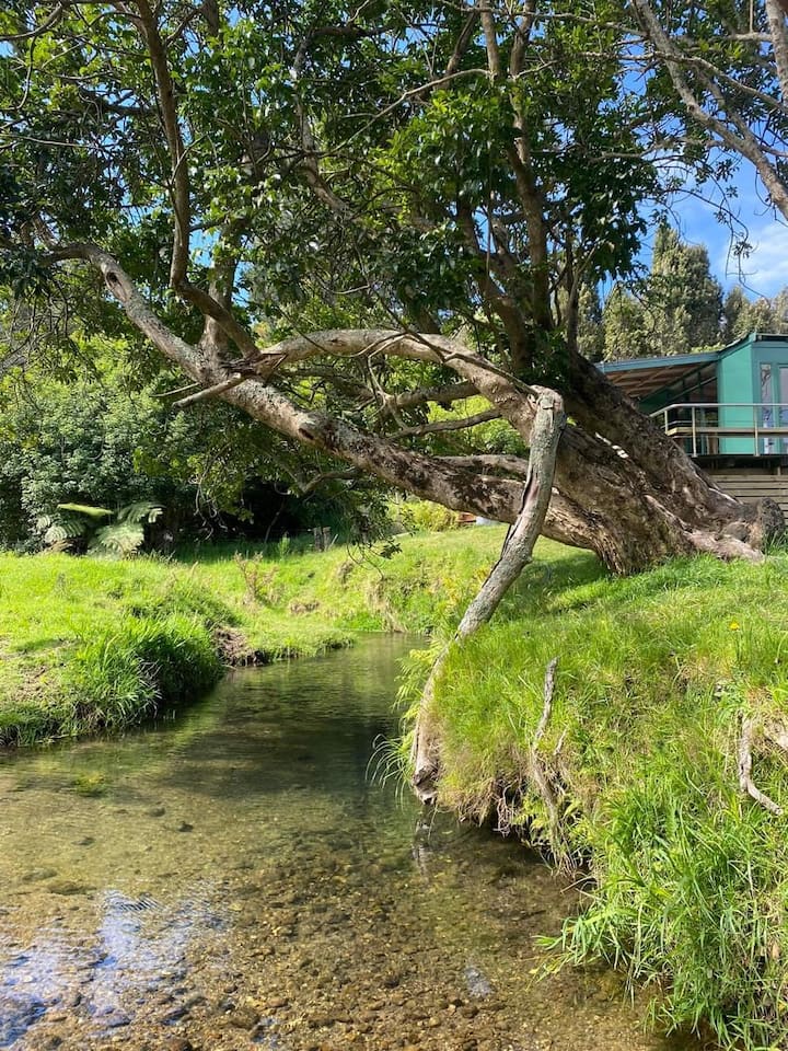 Puriri Bush Escape

Insta - Puriri.escape - Waihi