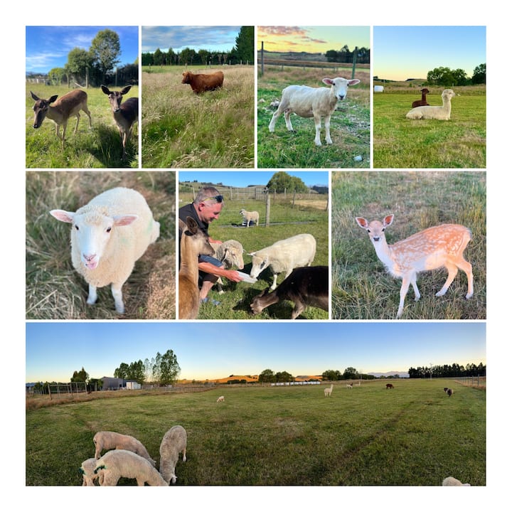 Farm View Unit In Te Anau - 테아나우