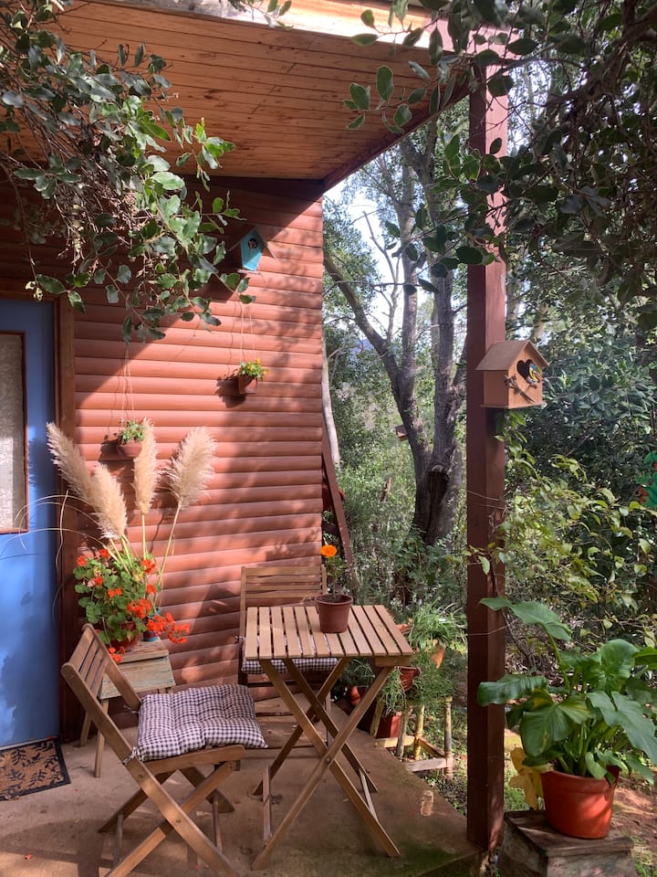 Cabaña Entre Parras - Curacavi