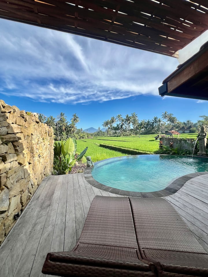 Wonderful Ricefield View  Charming Wooden Ubud - Indonesia