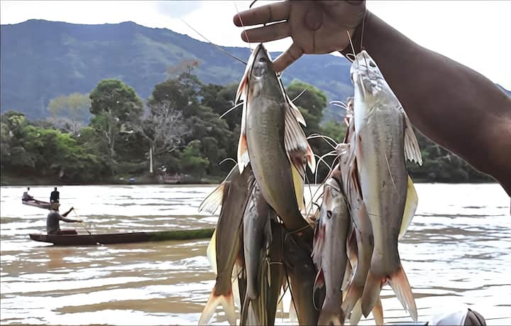 Casa Del Alto - Honda