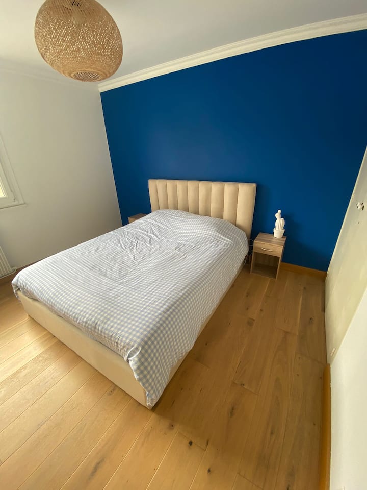 Chambre Dans Bel Appartement Annecy Centre - Annecy