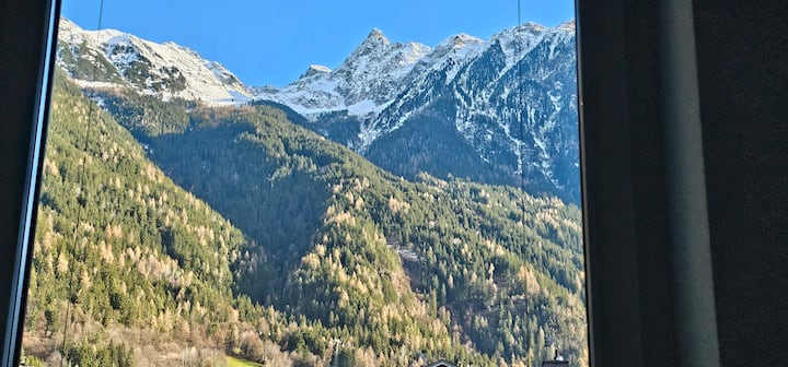 Alpenrose Top 4 - Oetz